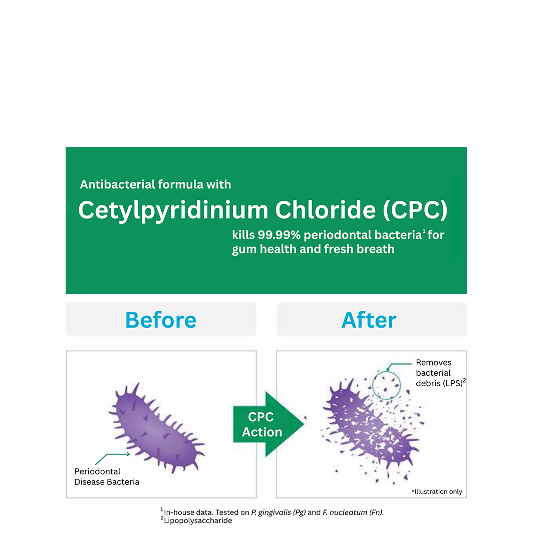 SUNSTAR GUM DENTAL PASTE LB HERB MINT | TKNK BY CASON ONLINE STORESUNSTAR GUM DENTAL PASTE LB ...